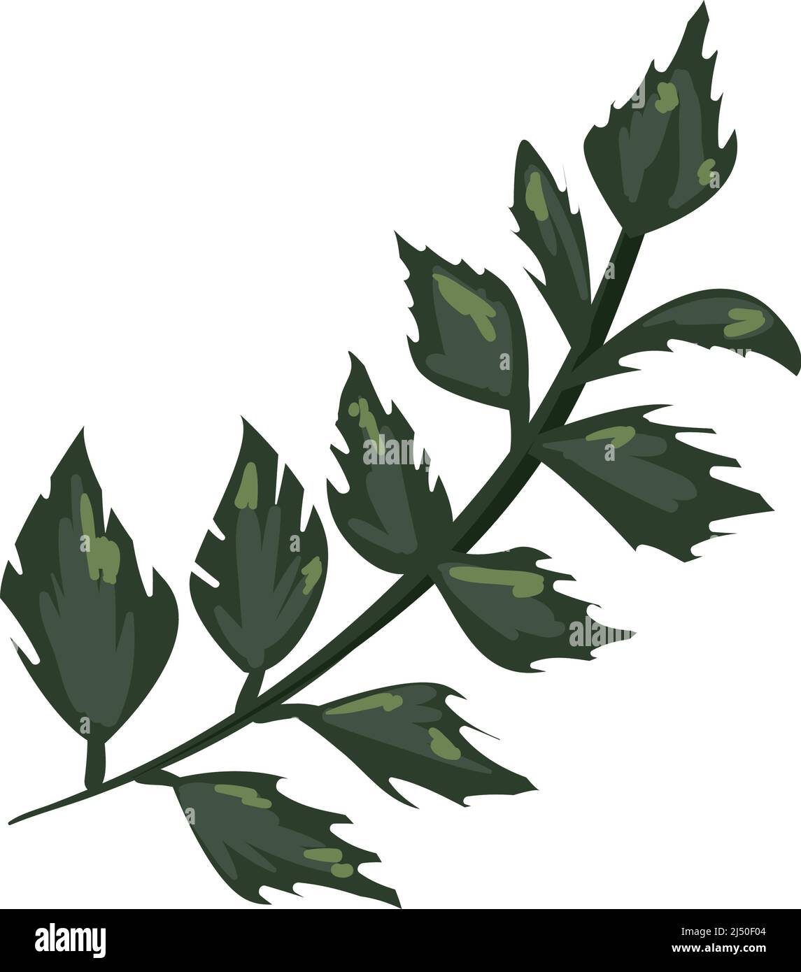 plant branch illustration Stock Vector Image & Art - Alamy