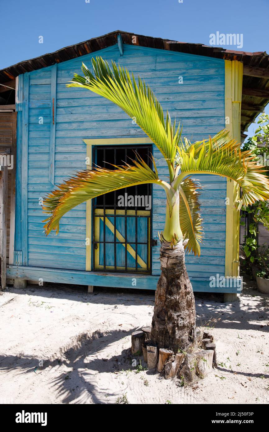 Small Tropical House