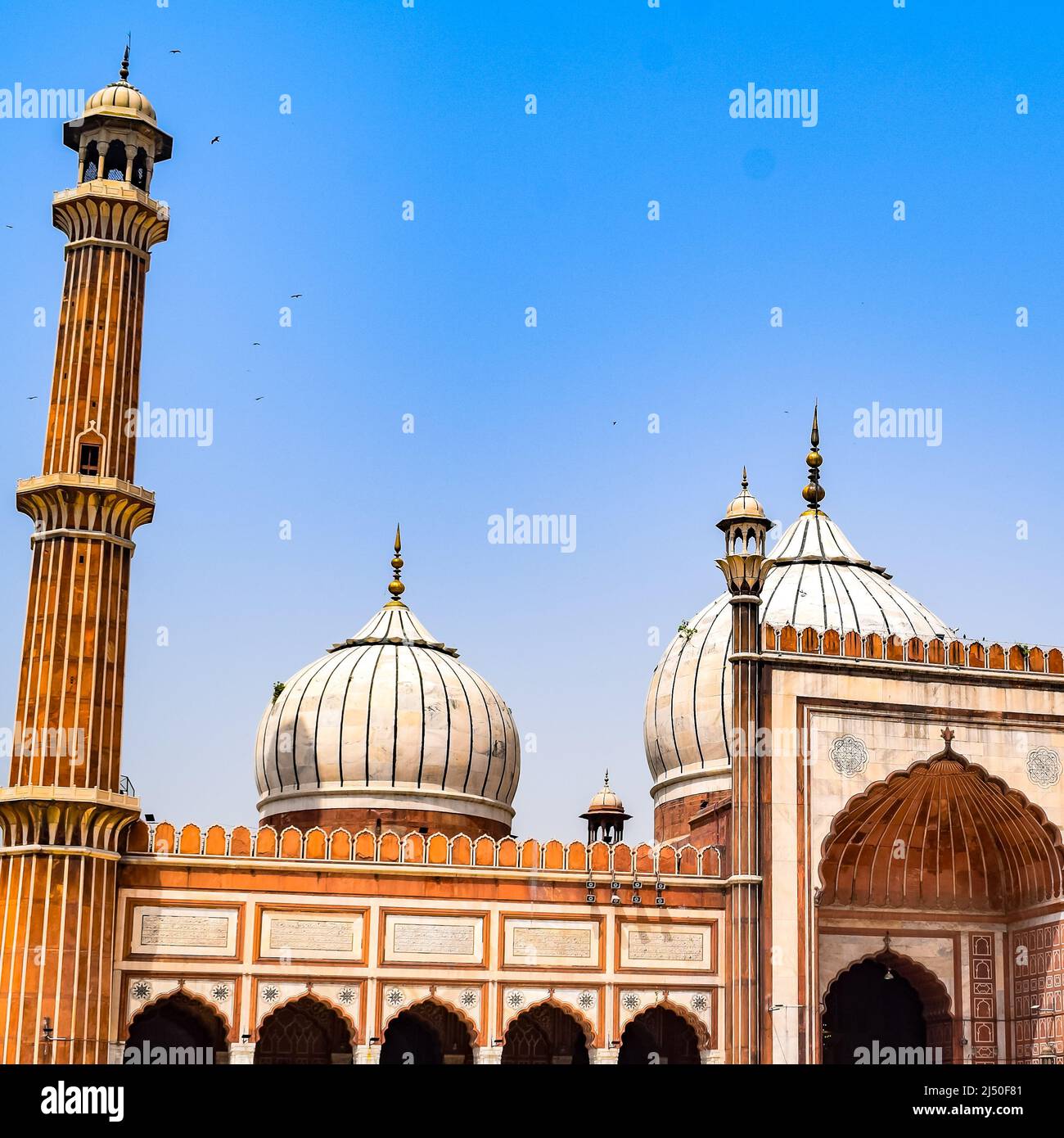 The spectacular architecture of the Great Friday Mosque (Jama Masjid ...