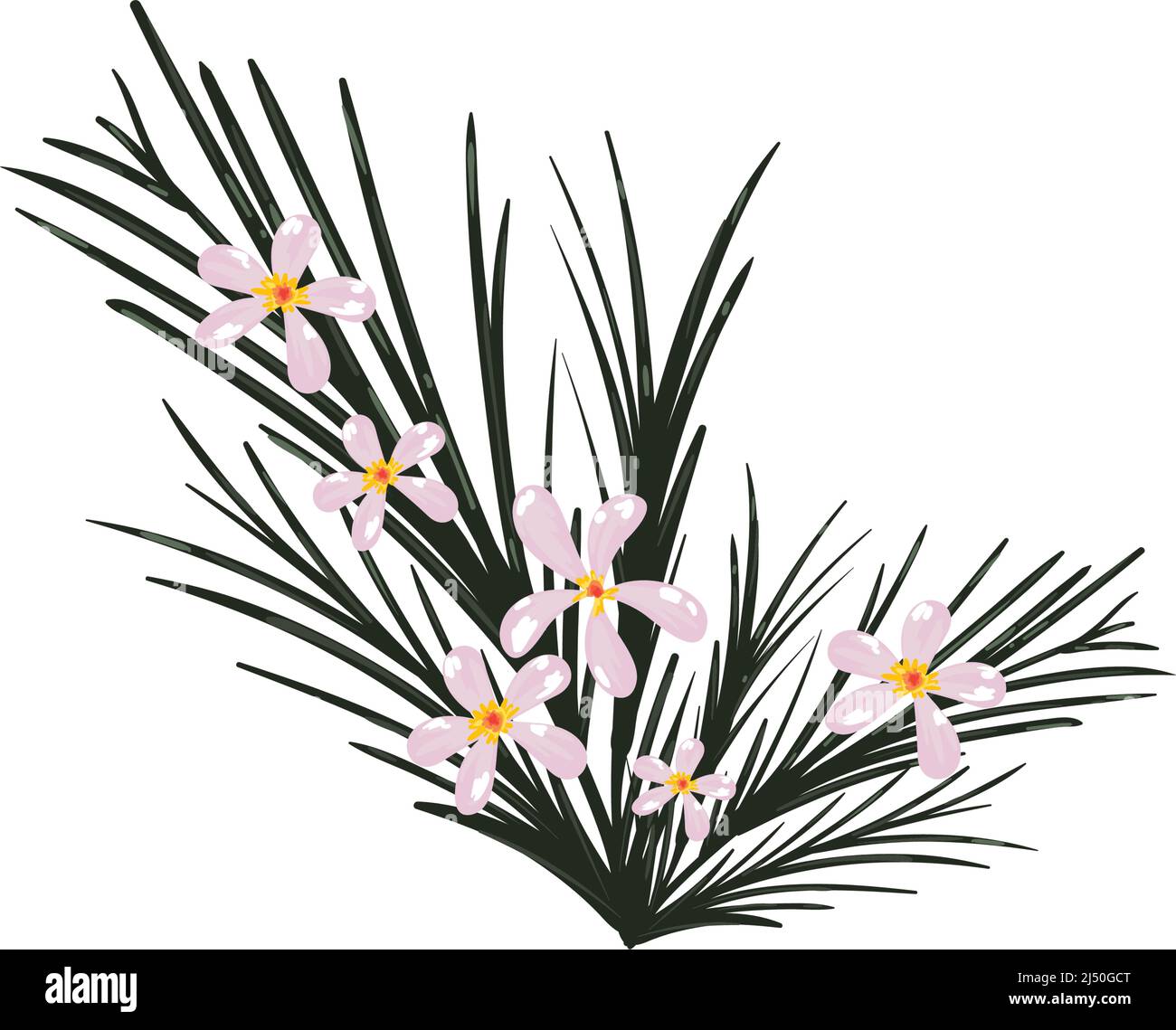 flowers blooming design Stock Vector Image & Art - Alamy