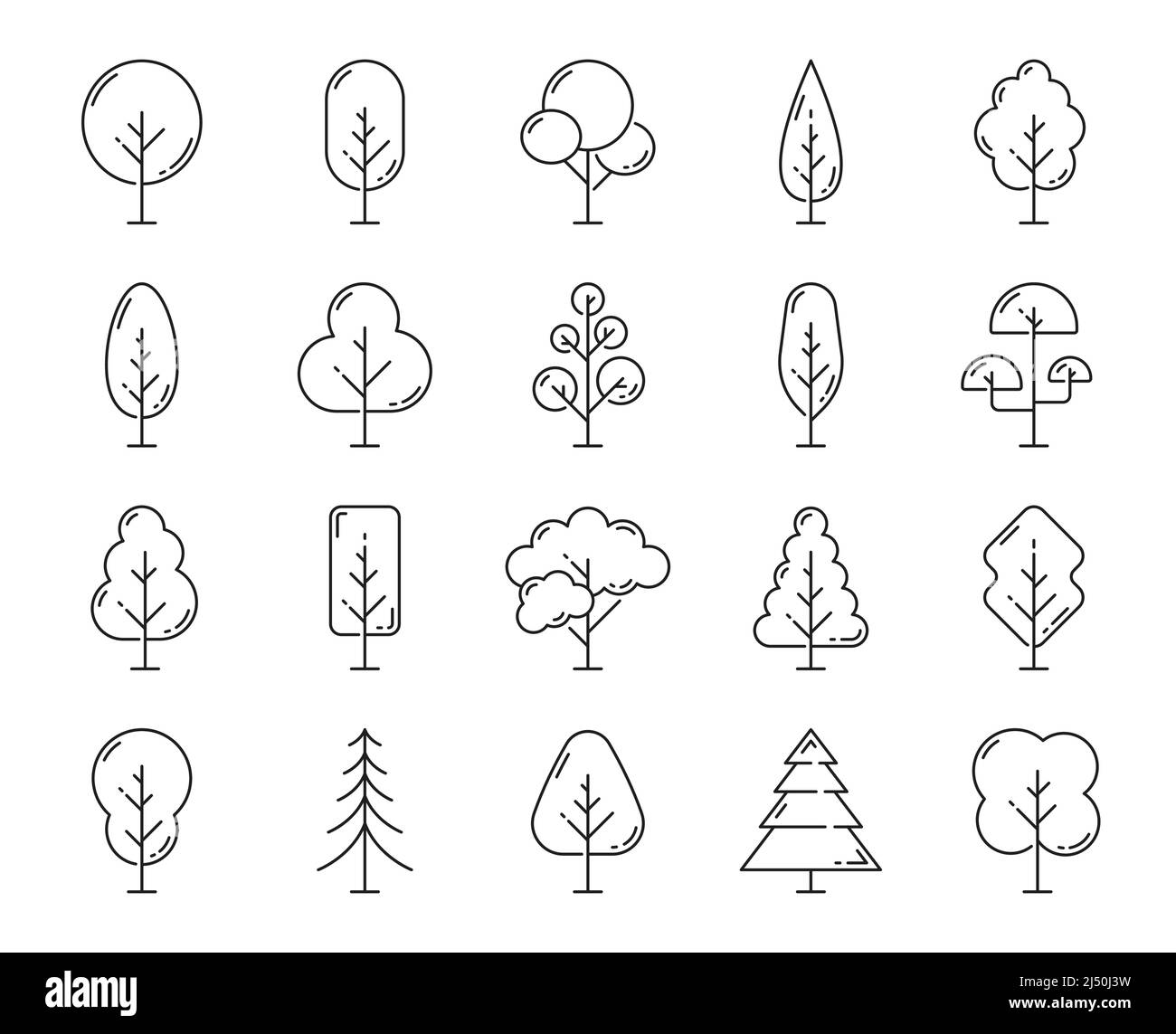 Deciduous and evergreen forest tree line Cut Out Stock Images ...