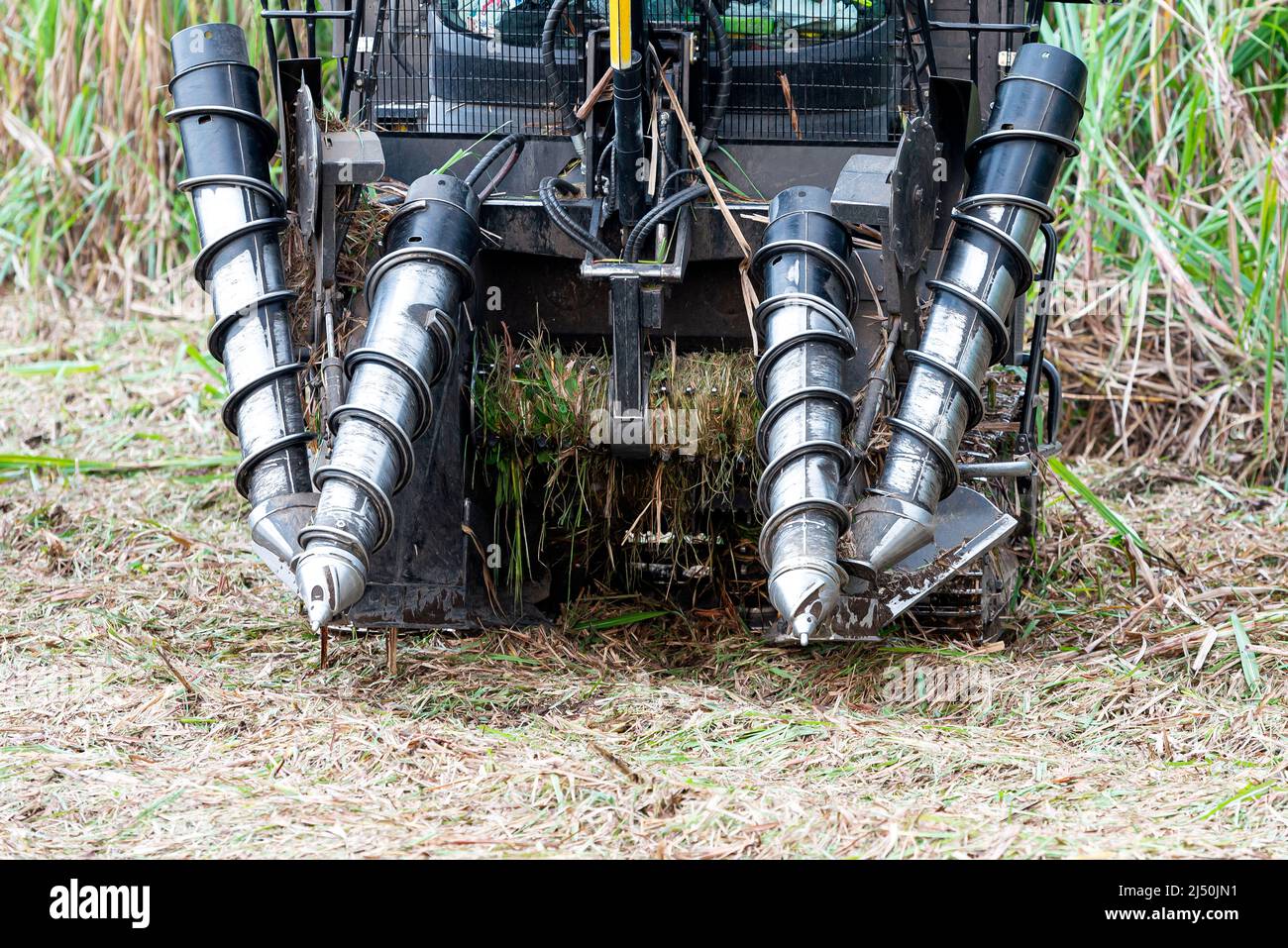 Machine for harvesting sugar cane on a plantation Stock Photo - Alamy
