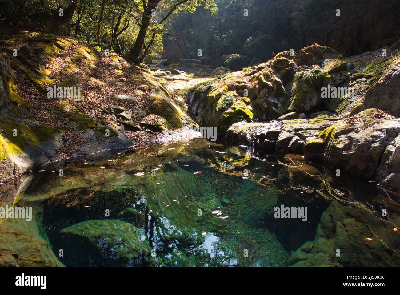 Kikuchi Gorge, early morning, Kumamoto Prefecture, Japan Stock Photo ...