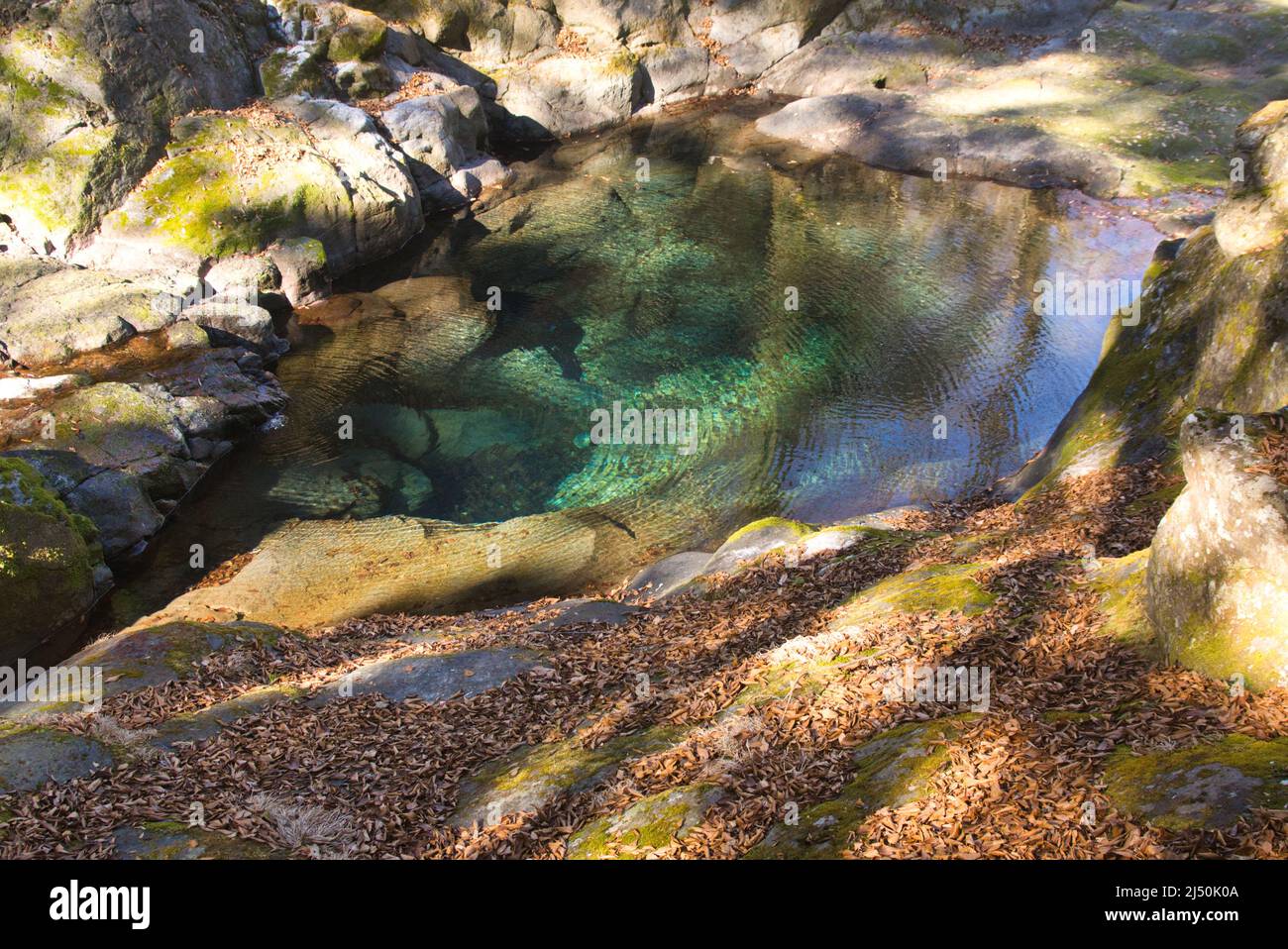 Kikuchi Gorge in Morning, Kumamoto Prefecture, Japan Stock Photo - Alamy