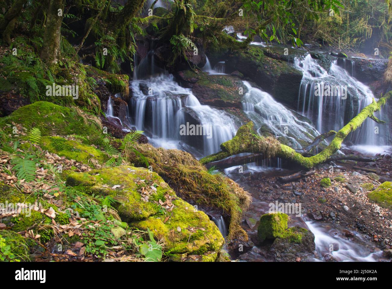 Spring Water in Kikuchi Gorge, Kumamoto Prefecture, Japan Stock Photo ...