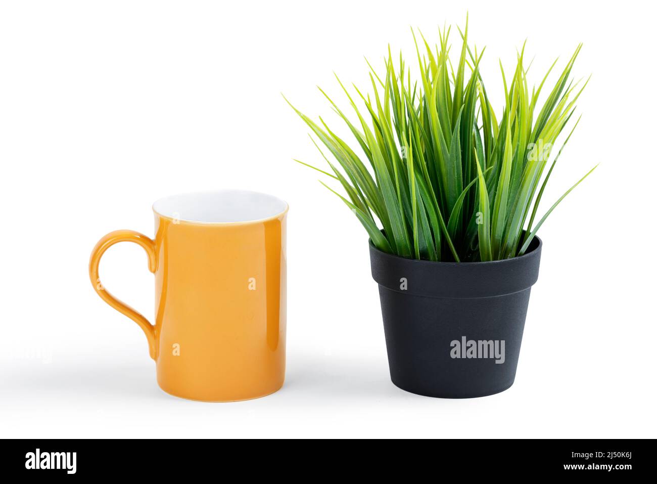 Mug and pot with green plant isolated over white background Stock Photo ...