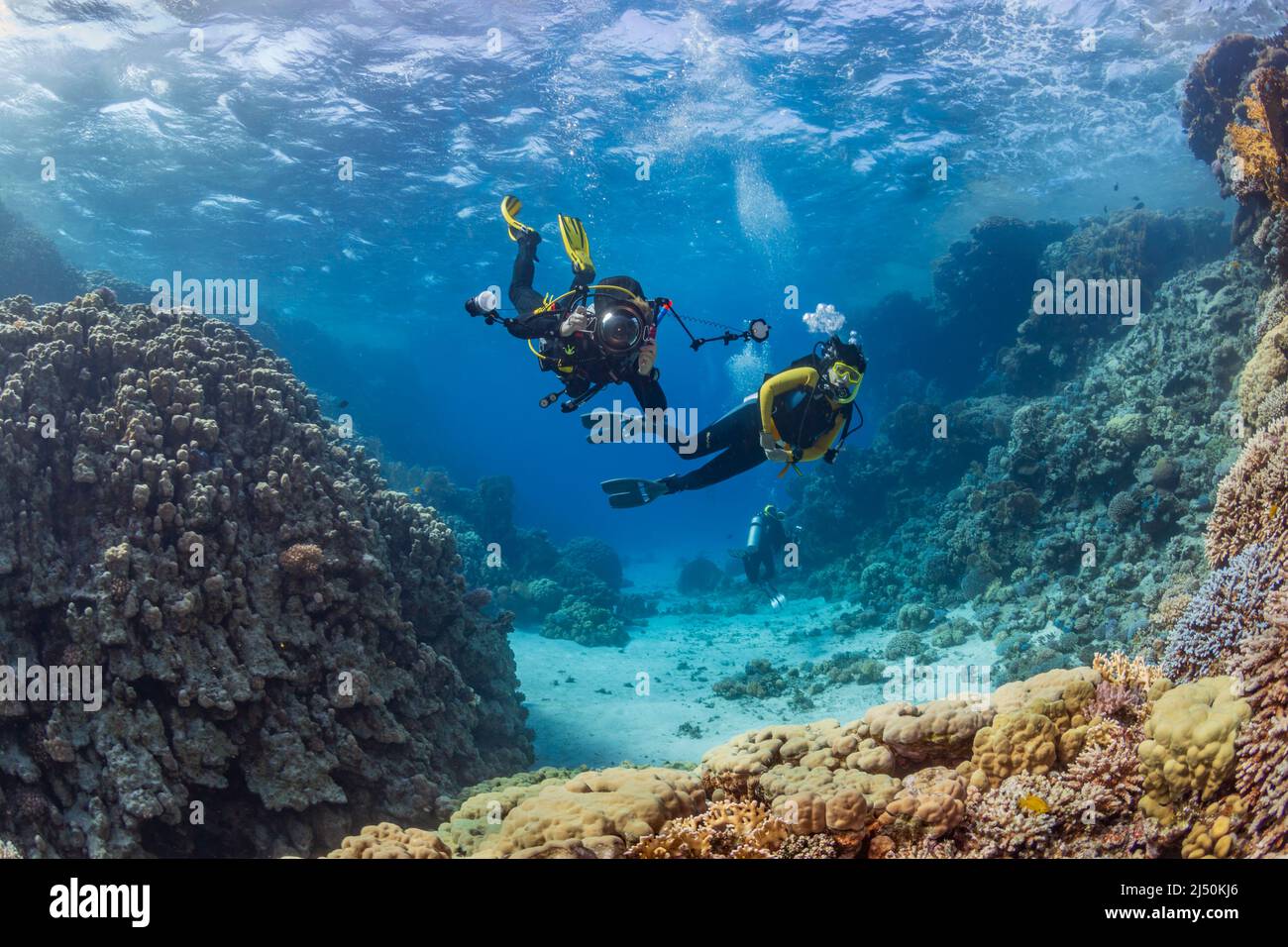 Underwater exploration. Divers dive on a tropical reef with a blue ...