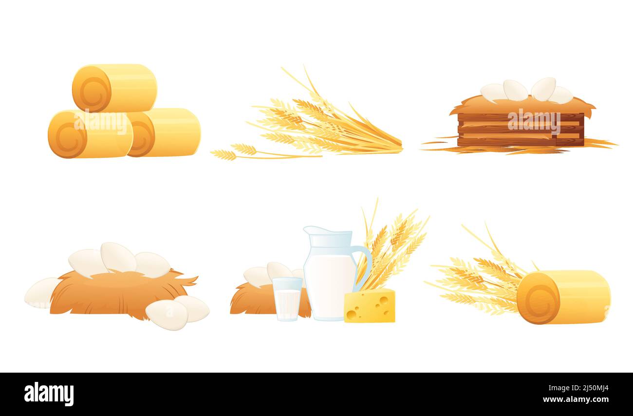 Set of countryland objects for farm or rancho vector illustration on ...