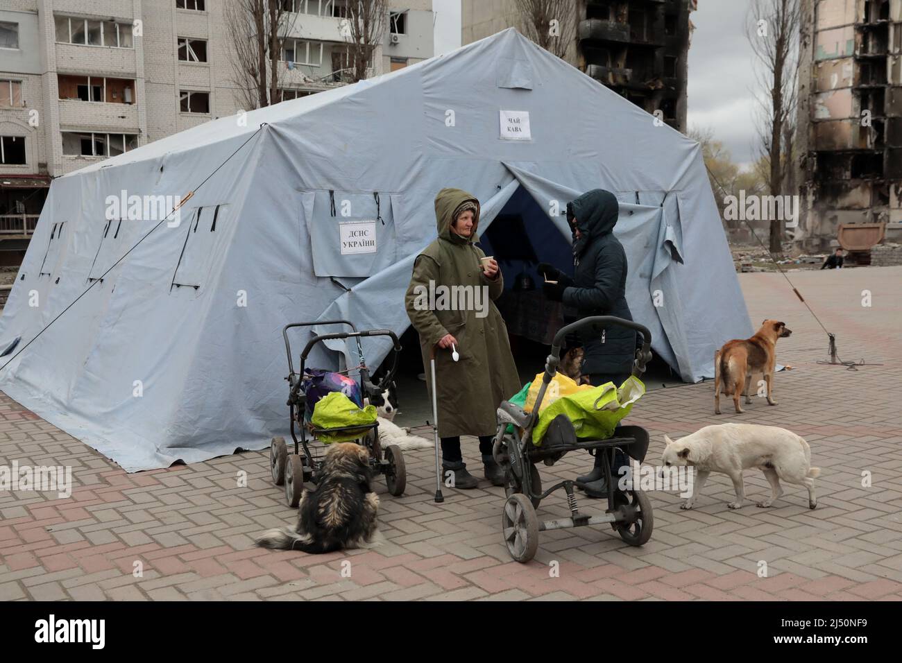 Non Exclusive: BORODIANKA, UKRAINE - APRIL 16, 2022 - Two elderly women ...