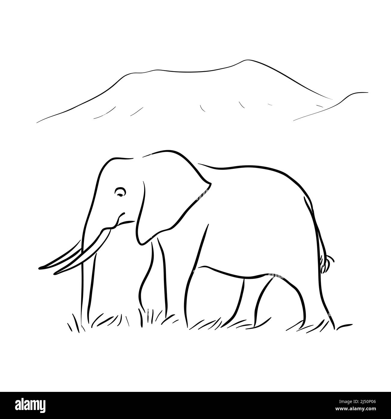 African Forest Elephant Drawing