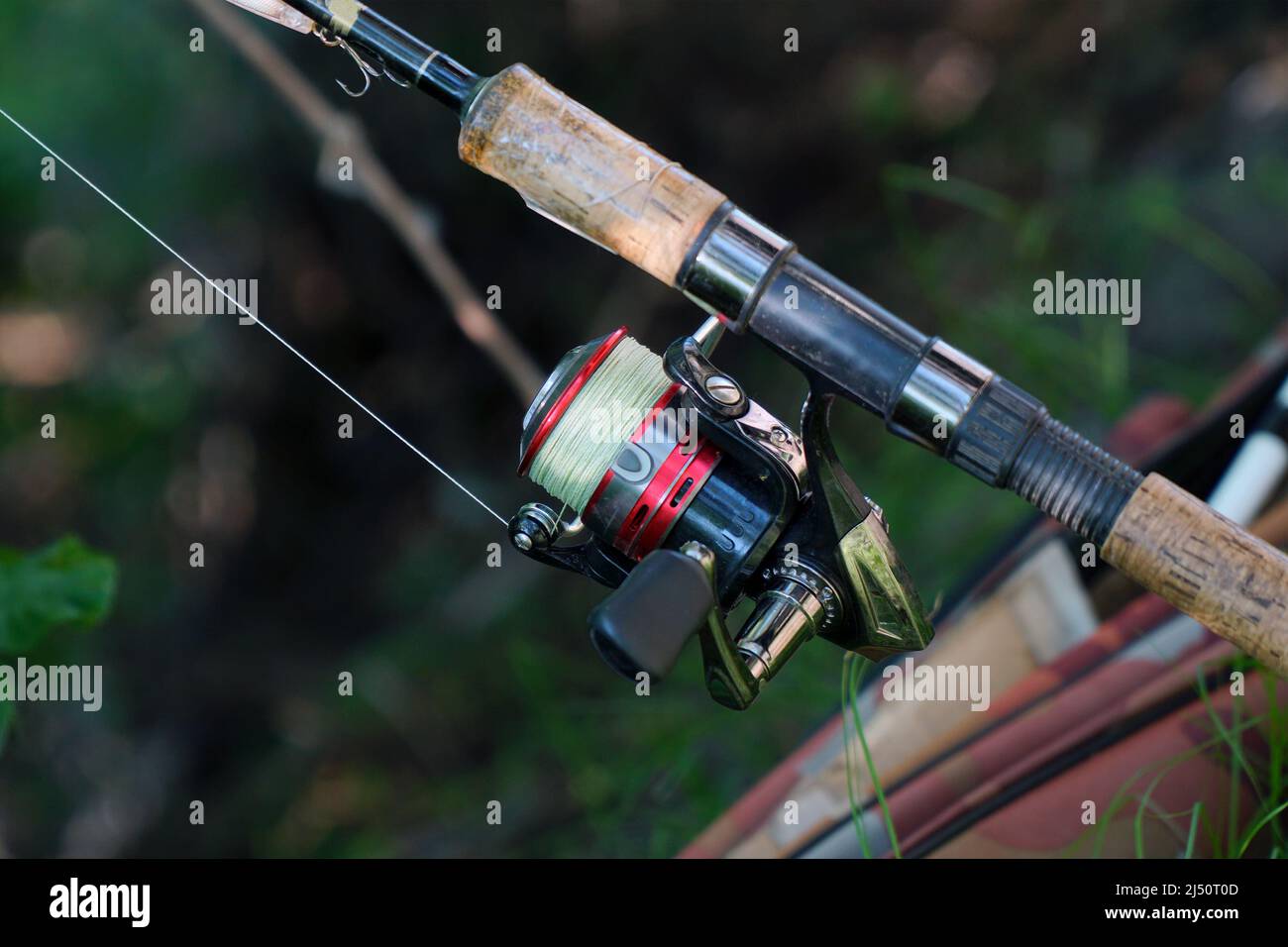 Spinning rod with a reel for catching predatory fish on a natural ...