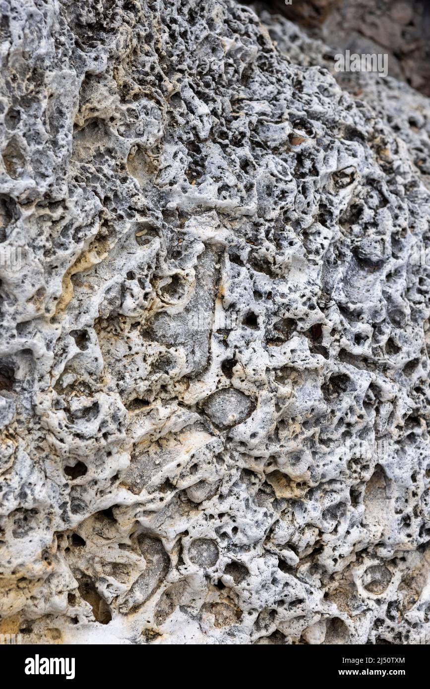 Coral rock at the shore of Playa Jeremi on the Caribbean island Curacao ...