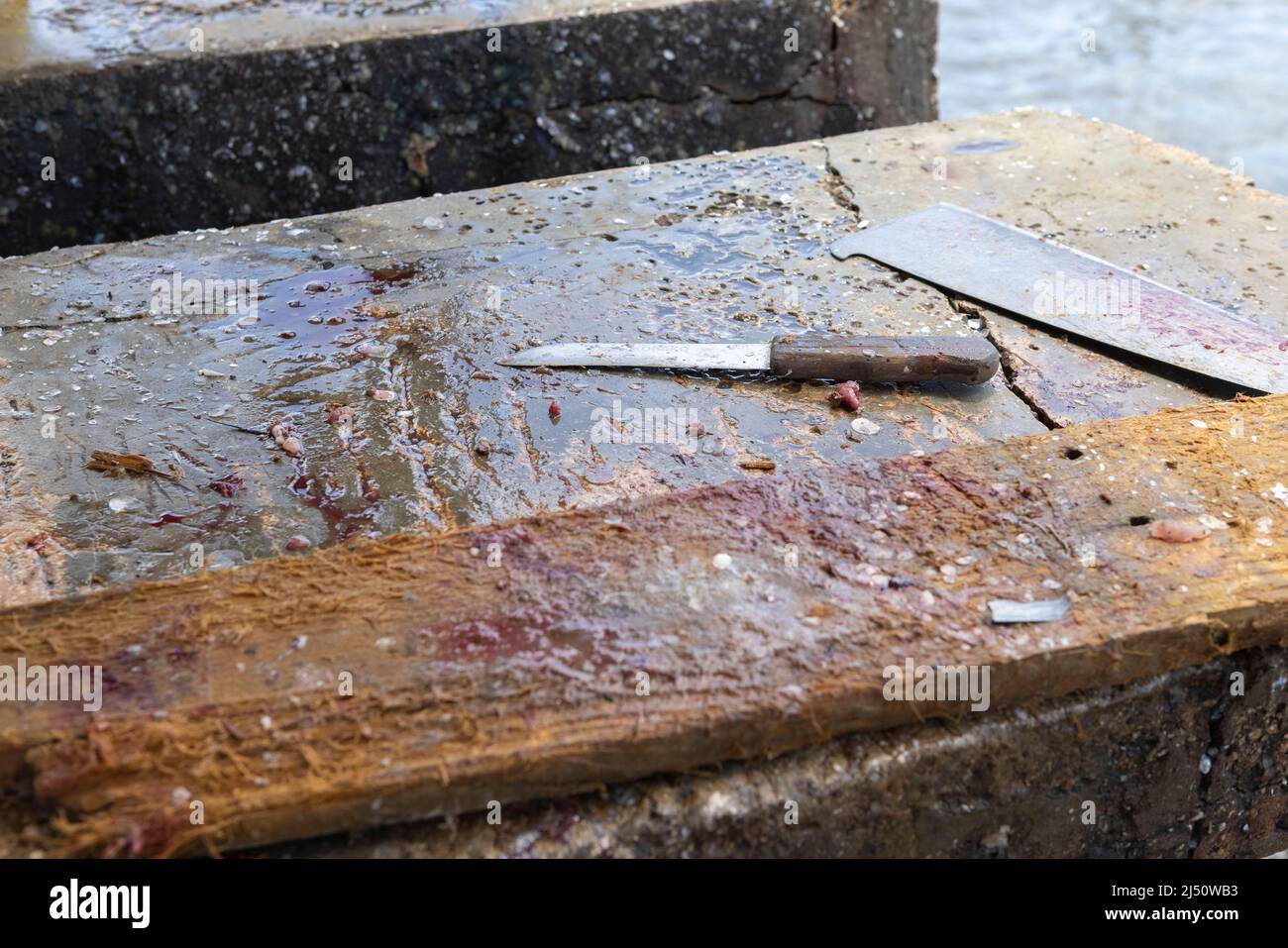 Gutting table made of stone and tools for processing fresh fish at ...