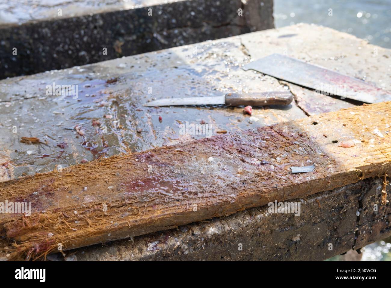 Gutting table made of stone and tools for processing fresh fish at ...
