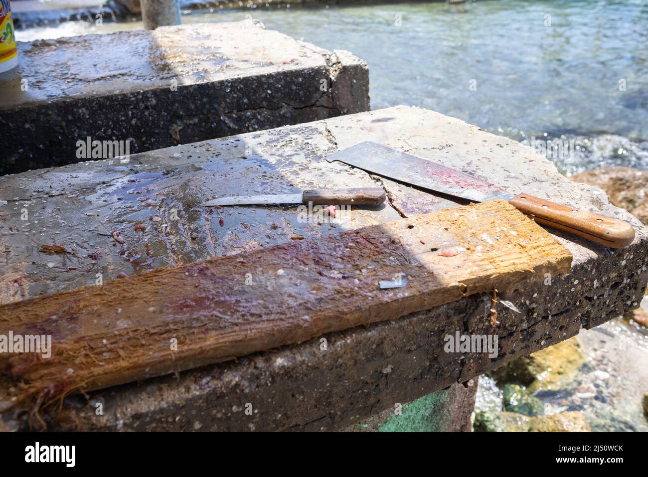 Gutting table made of stone and tools for processing fresh fish at ...