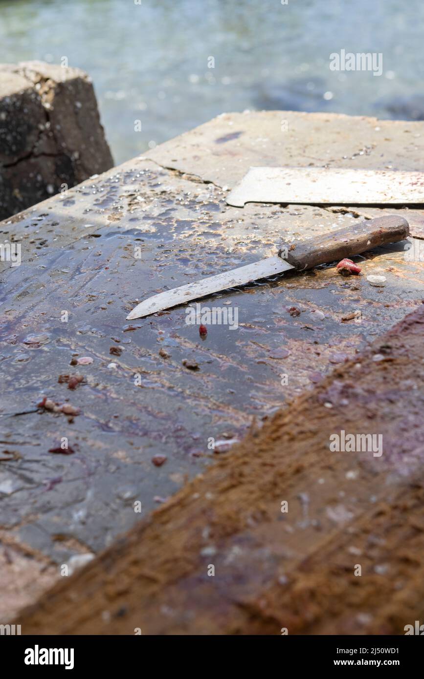 Gutting table made of stone and tools for processing fresh fish at ...
