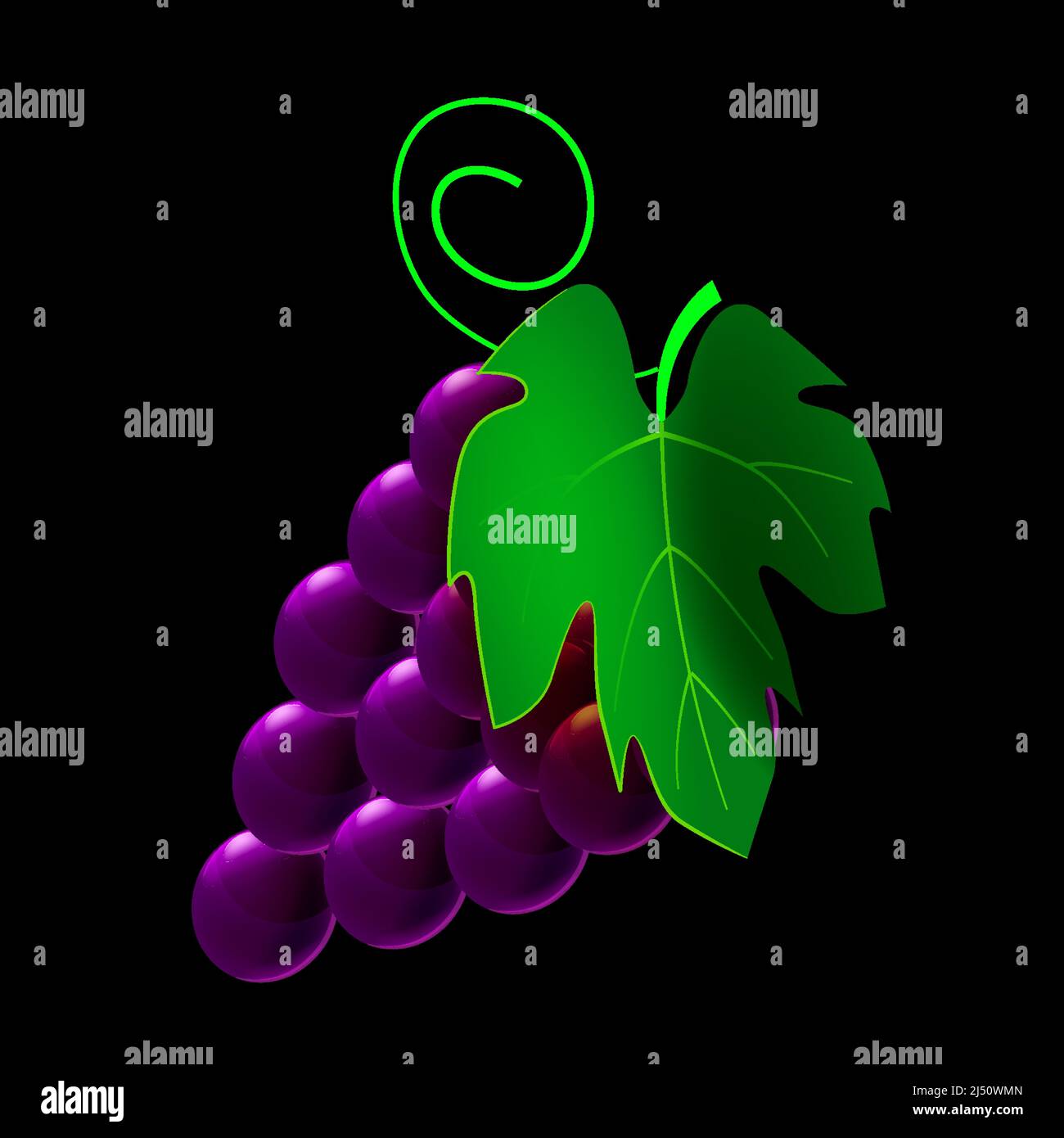 Grapes ripe, branch whole fresh, black color, icon. Vector illustration ...