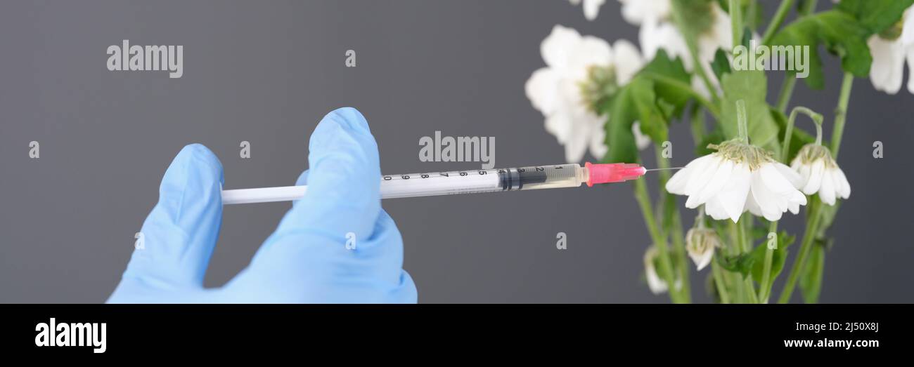 Person in glove makes injection into flower closeup Stock Photo - Alamy