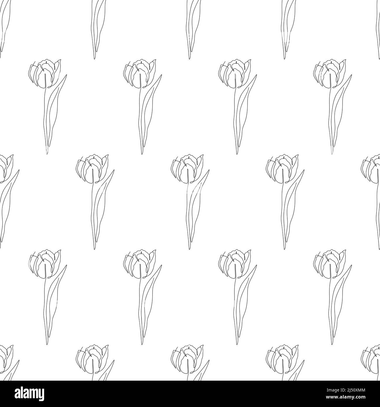 Monochrome seamless pattern with single line tulip flowers drawings ...