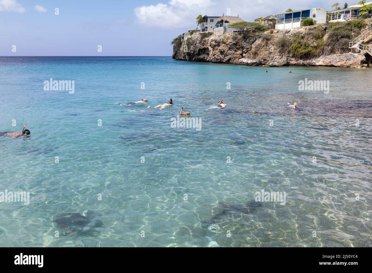 Snorkeling with sea turtles and pelicans at Playa Grandi (Playa Piscado ...