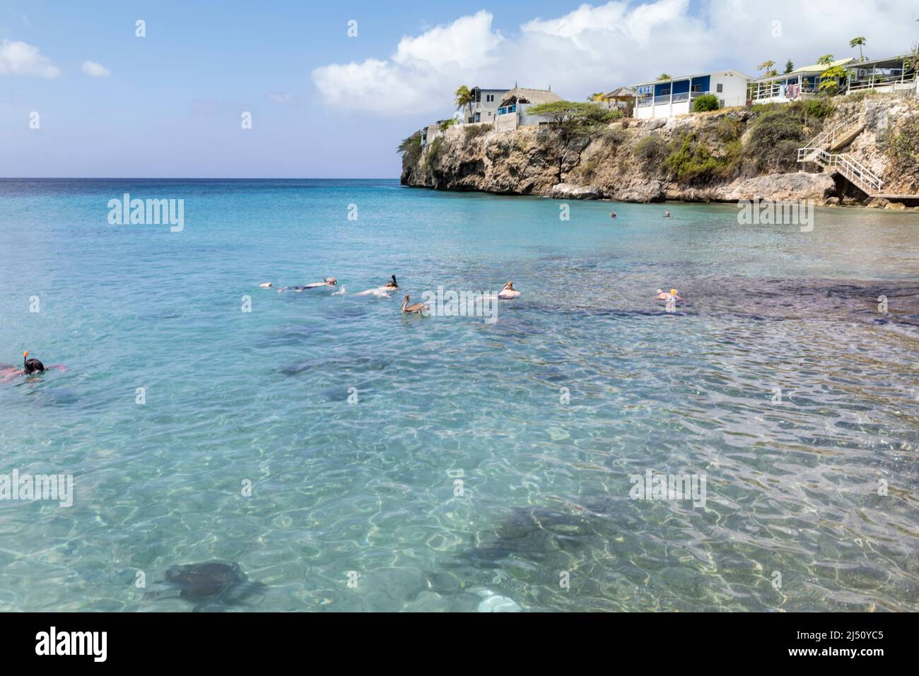 Snorkeling with sea turtles and pelicans at Playa Grandi (Playa Piscado ...
