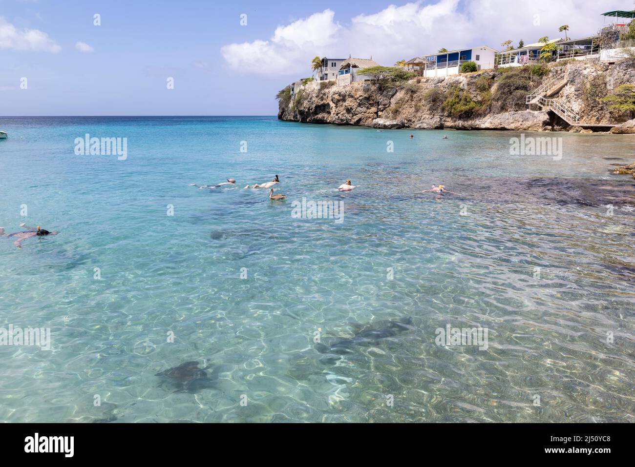 Snorkeling with sea turtles and pelicans at Playa Grandi (Playa Piscado ...