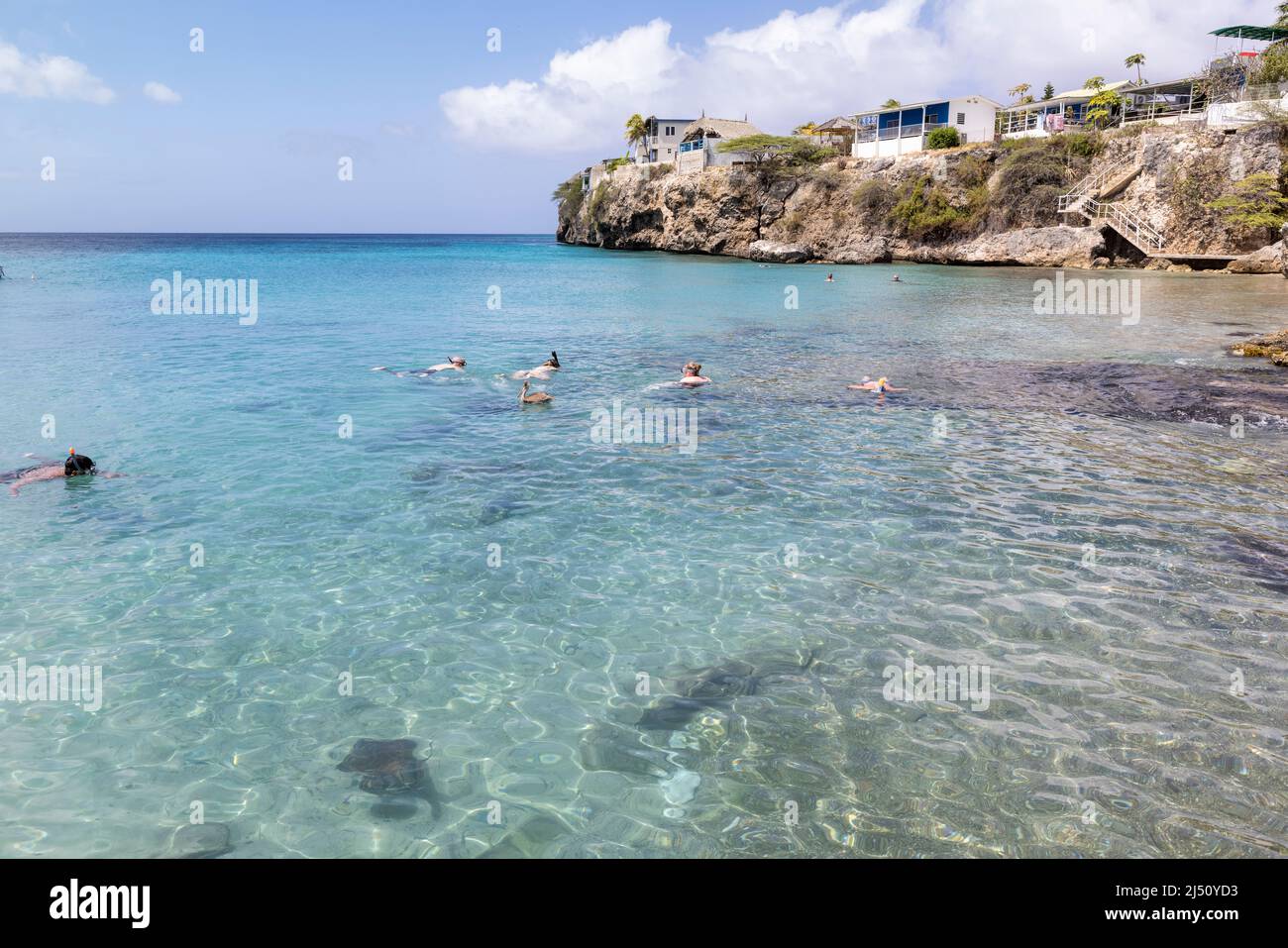 Snorkeling with sea turtles and pelicans at Playa Grandi (Playa Piscado ...