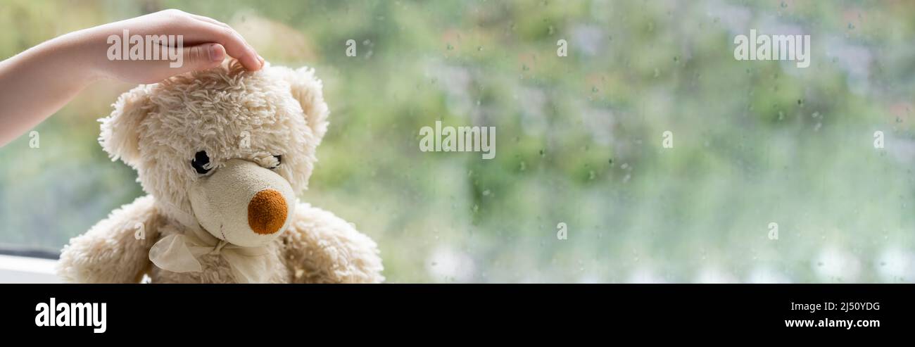 Sad Teddy Bear Quotes
