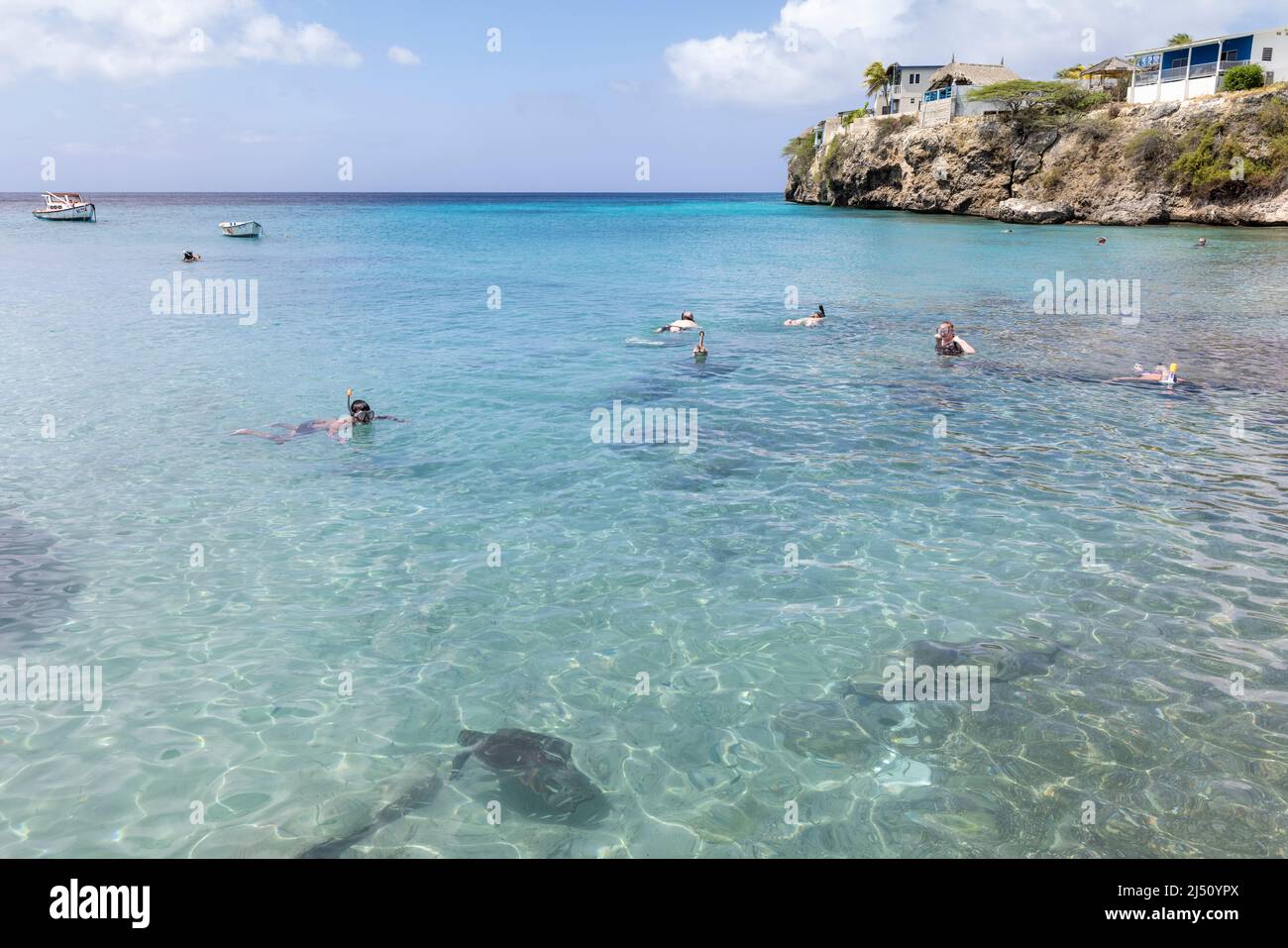 Snorkeling with sea turtles and pelicans at Playa Grandi (Playa Piscado ...