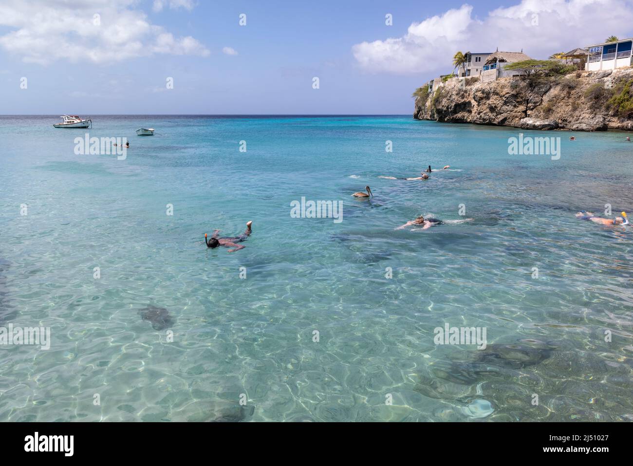 Snorkeling with sea turtles and pelicans at Playa Grandi (Playa Piscado ...