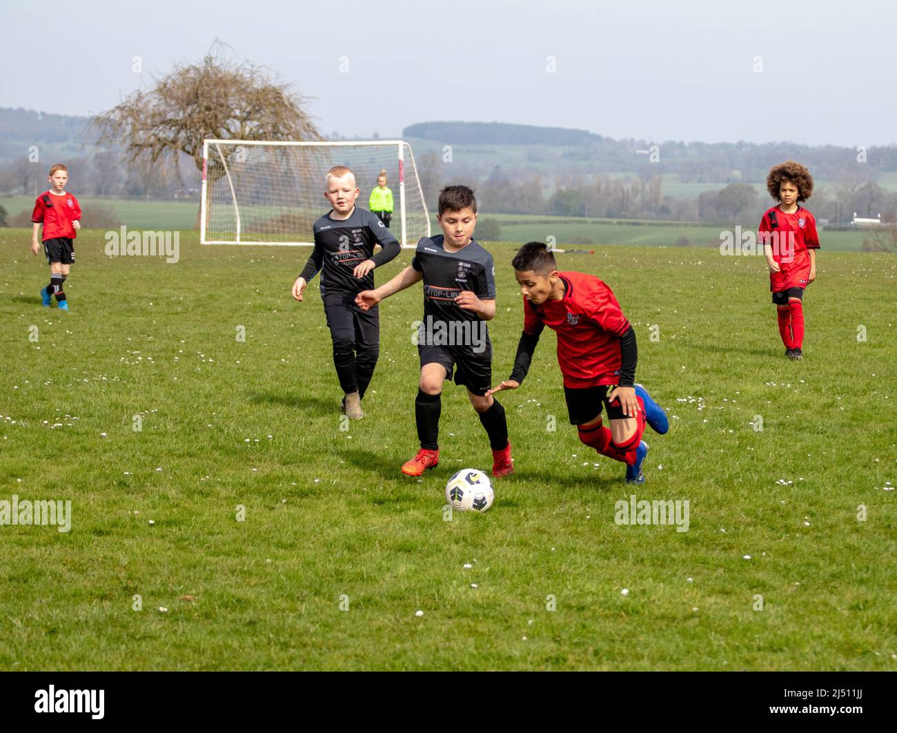 Grassroots field hi-res stock photography and images - Alamy