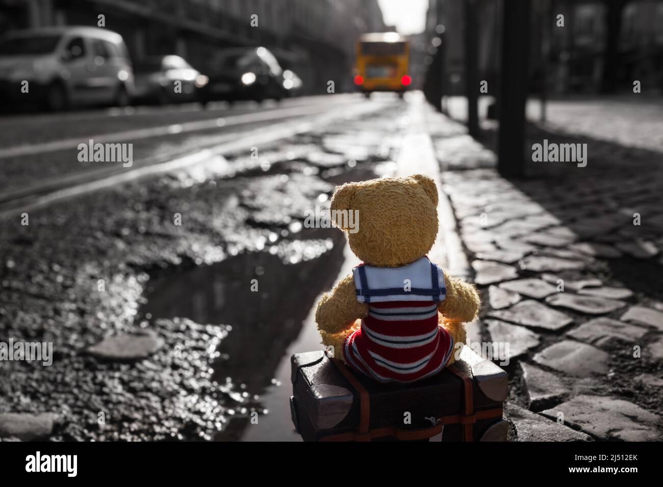 Little teddy bear tourist at city sit on his suitcase on curbside and ...