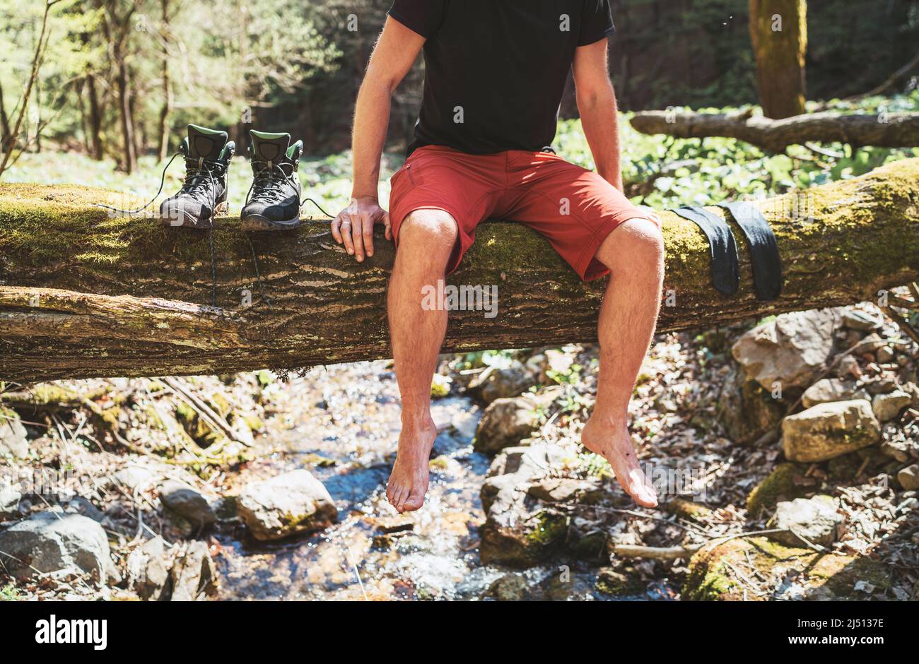 Man sitting on the fallen tree log over the mountain forest stream ...