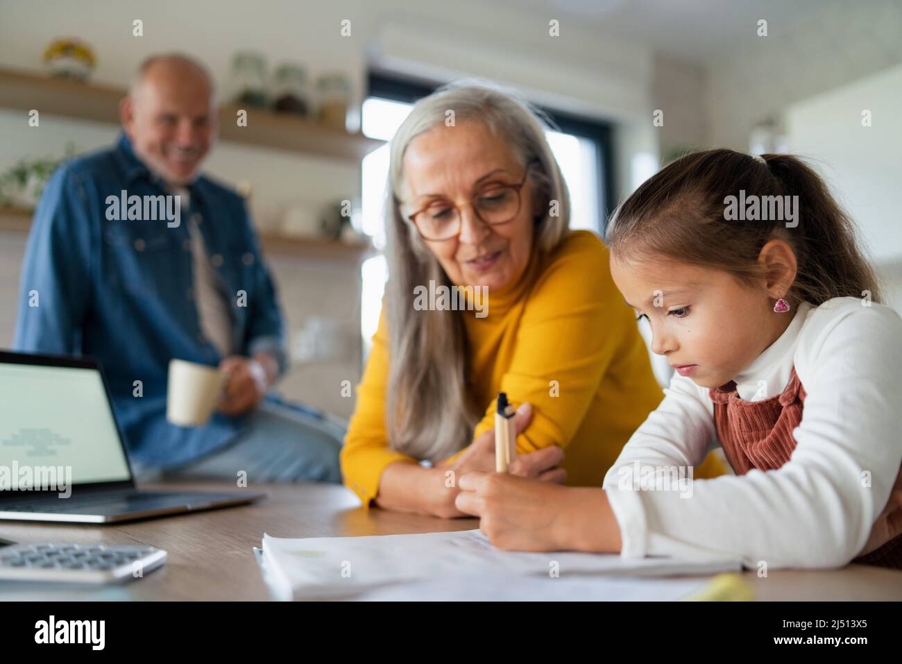Small girl with senior grandparents doing maths homework at home Stock ...