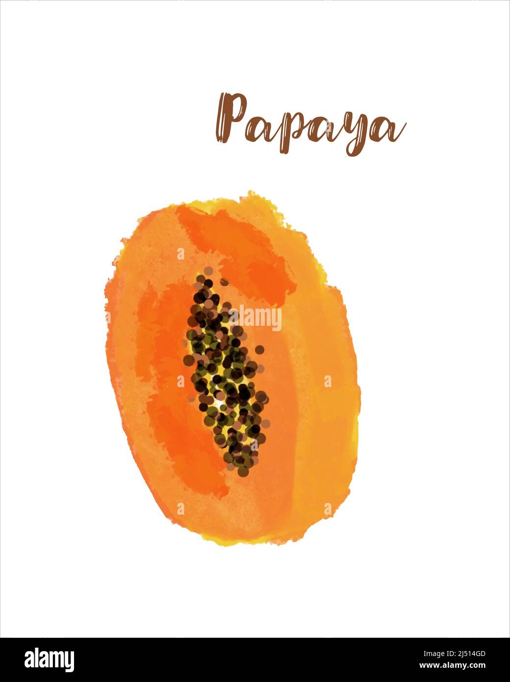 Papaya vector graphics. Imitation of watercolor. Isolated, white ...
