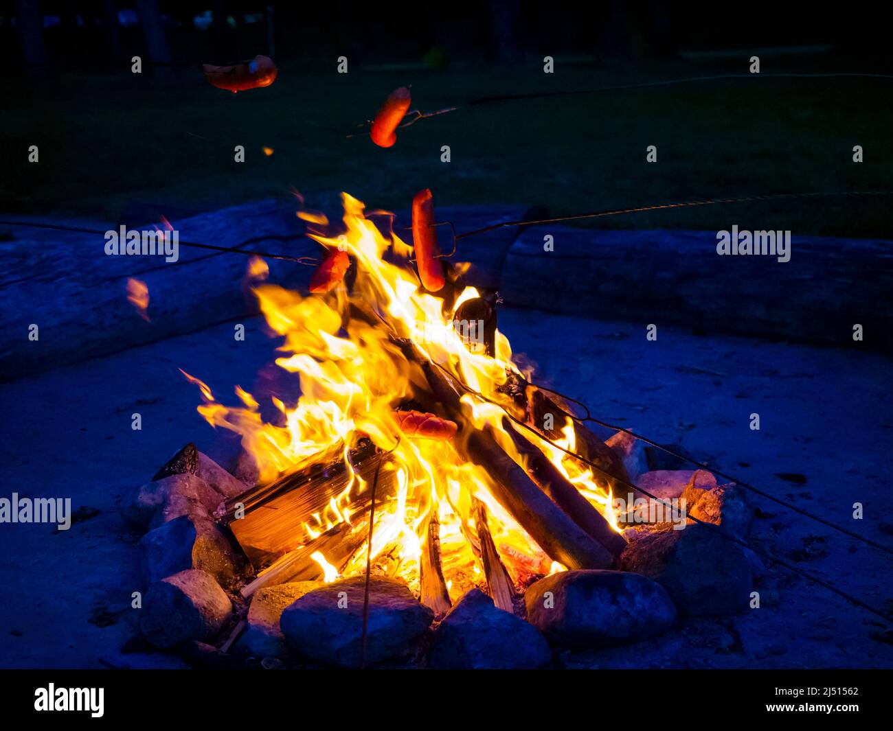 Cooking sausages by the camping fire outdoors at night Stock Photo - Alamy