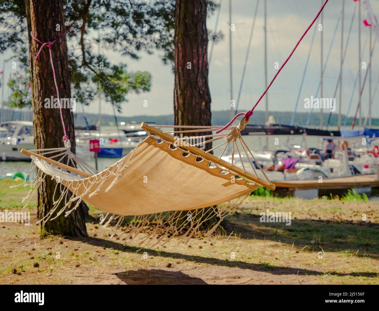 boho style white linen hammock hanging between pine trees on a ...