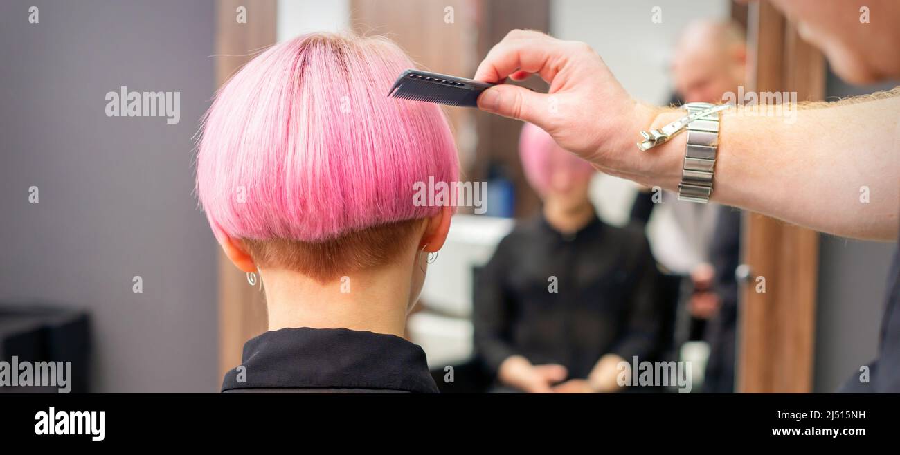 A hairdresser is combing the dyed pink short hair of the female client ...