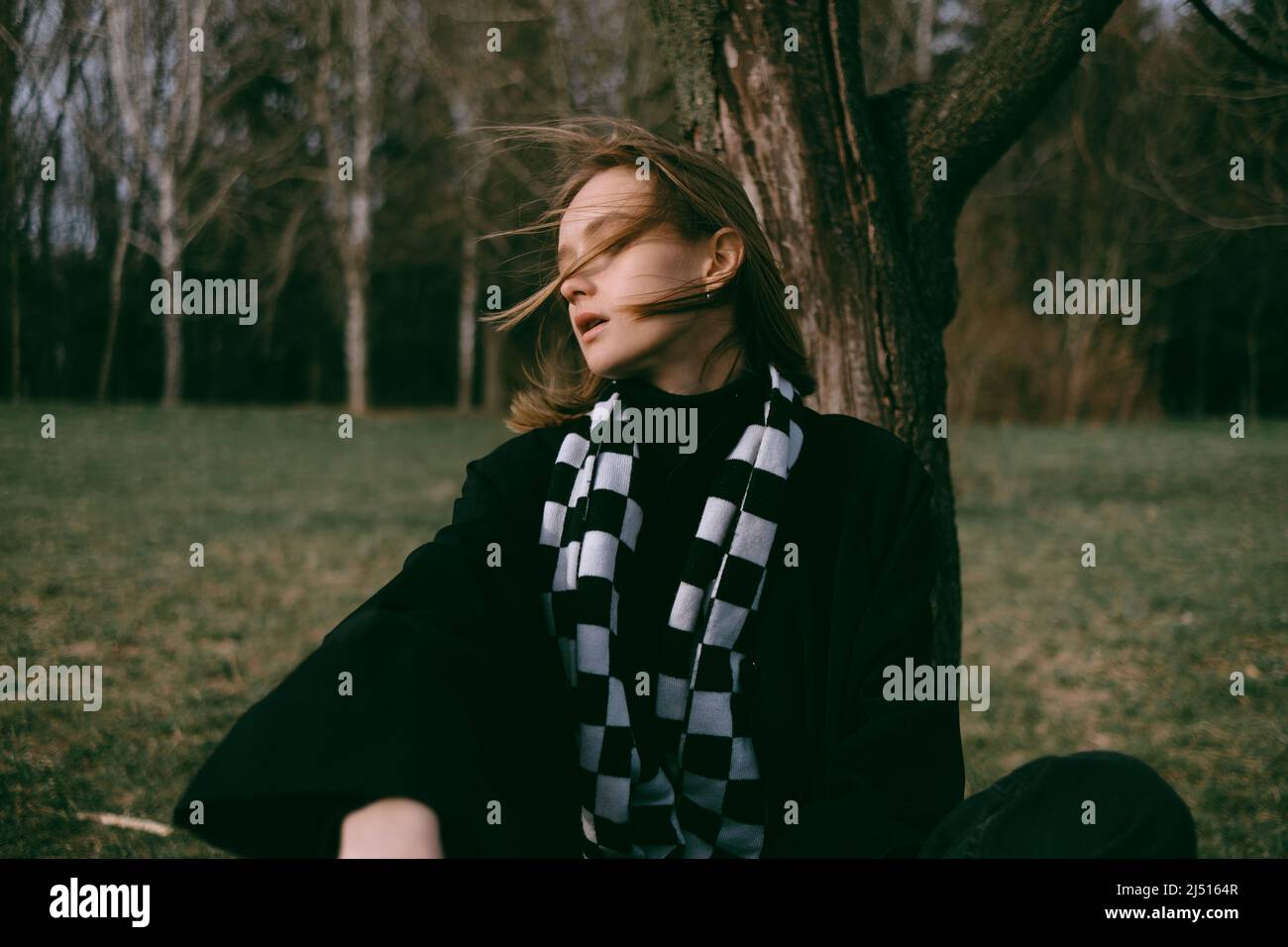 the lioness sits in a park on a bench while her hair flutters in the ...