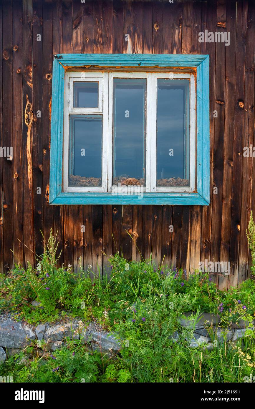 Old Russian window in wooden wall with layer of dry grass between the ...