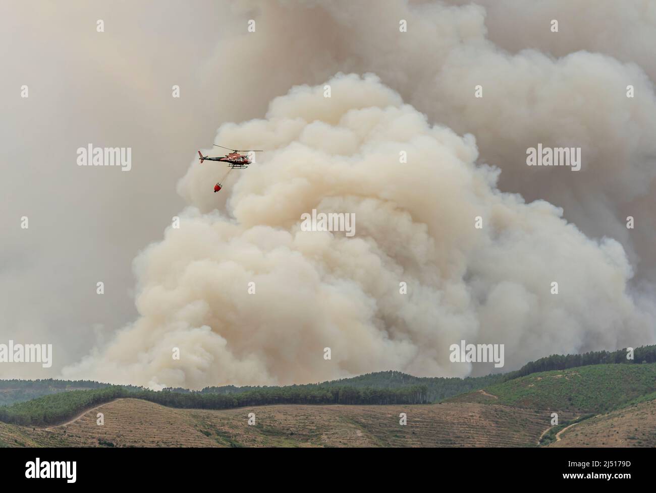 Firefighting bucket hi-res stock photography and images - Alamy