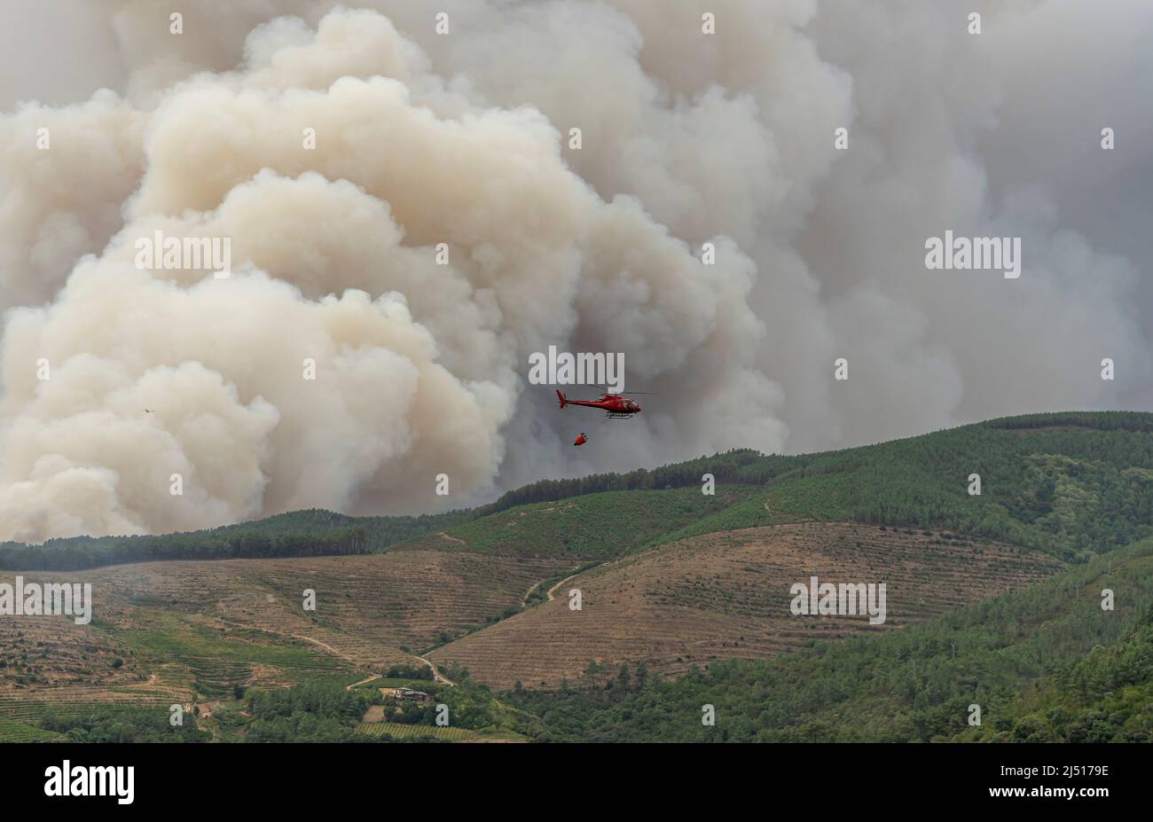 Forest firefighting aircraft hi-res stock photography and images - Alamy