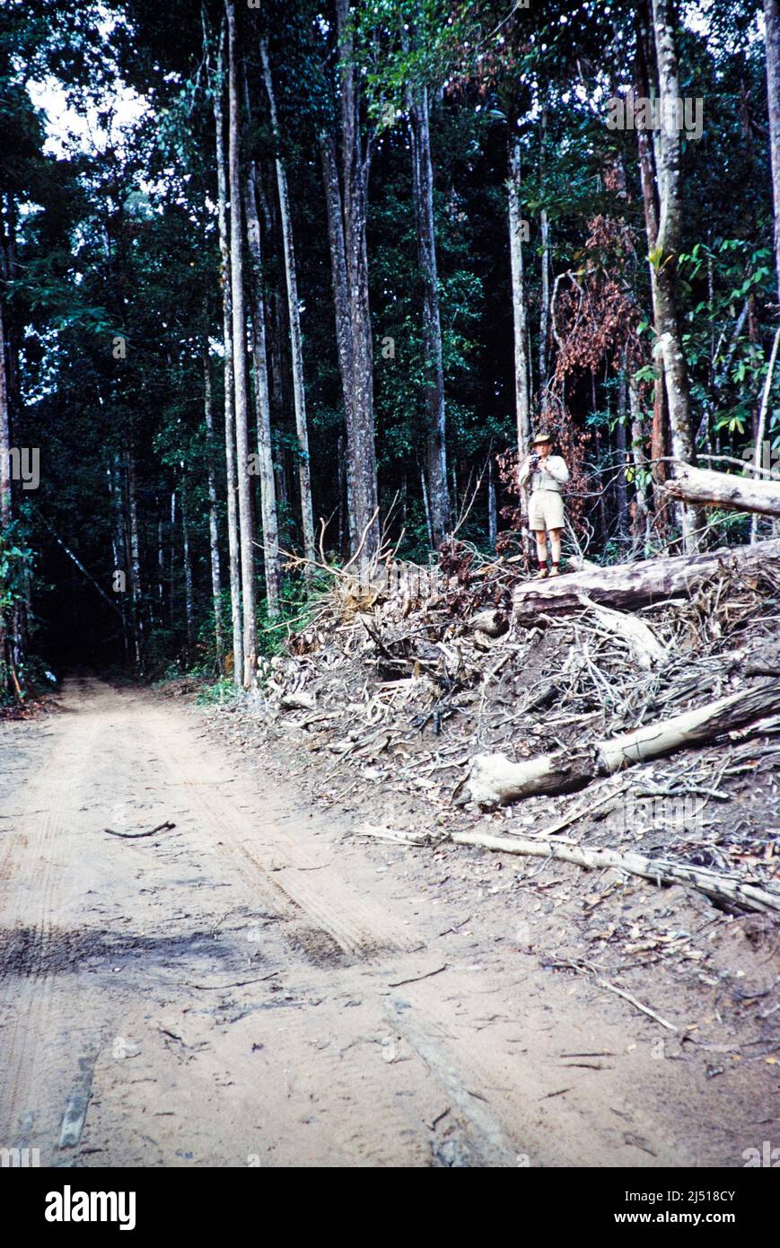 Vintage Forest Photography