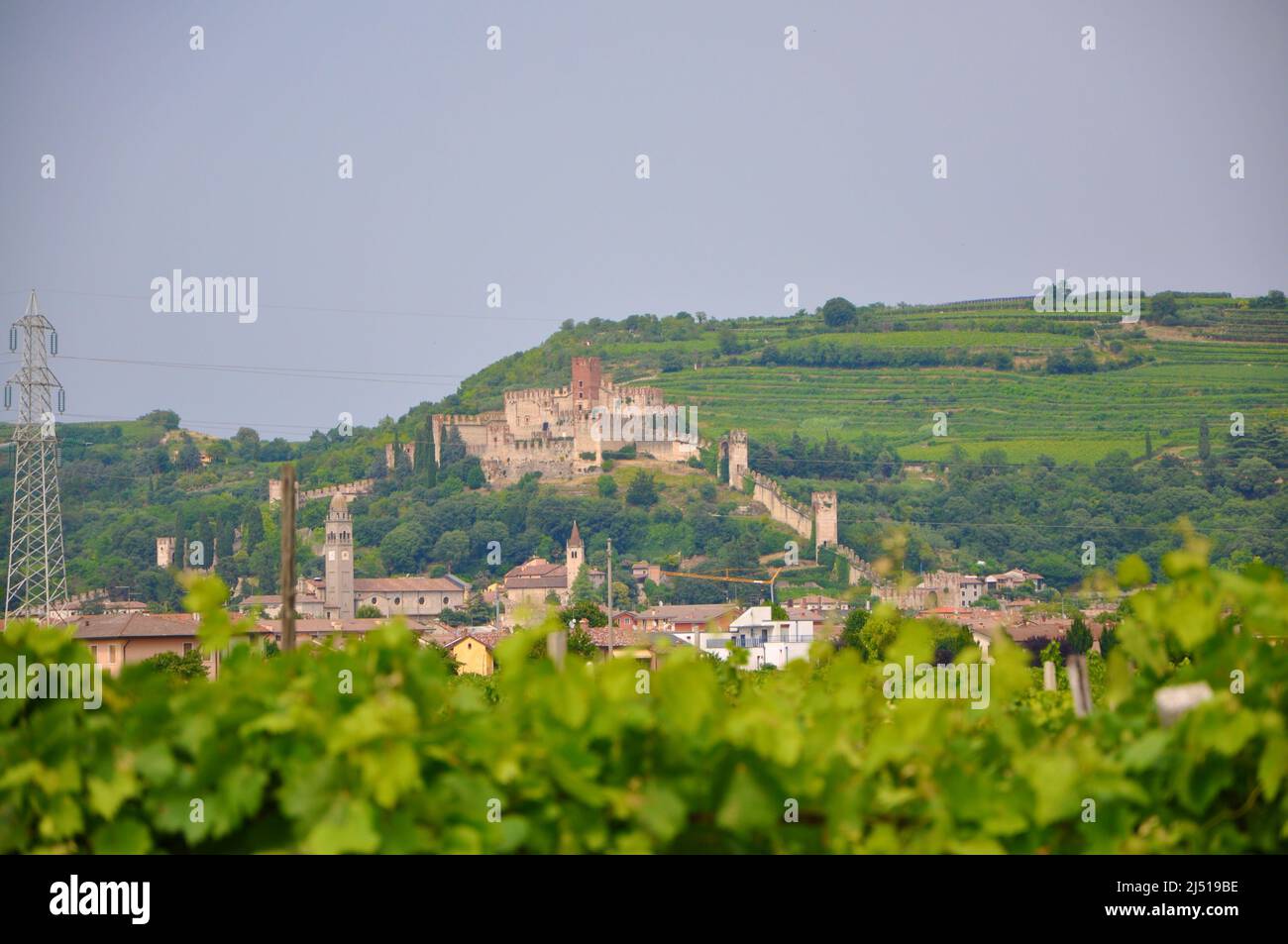 View of Soave (Italy) and its famous medieval castle. View of Soave ...