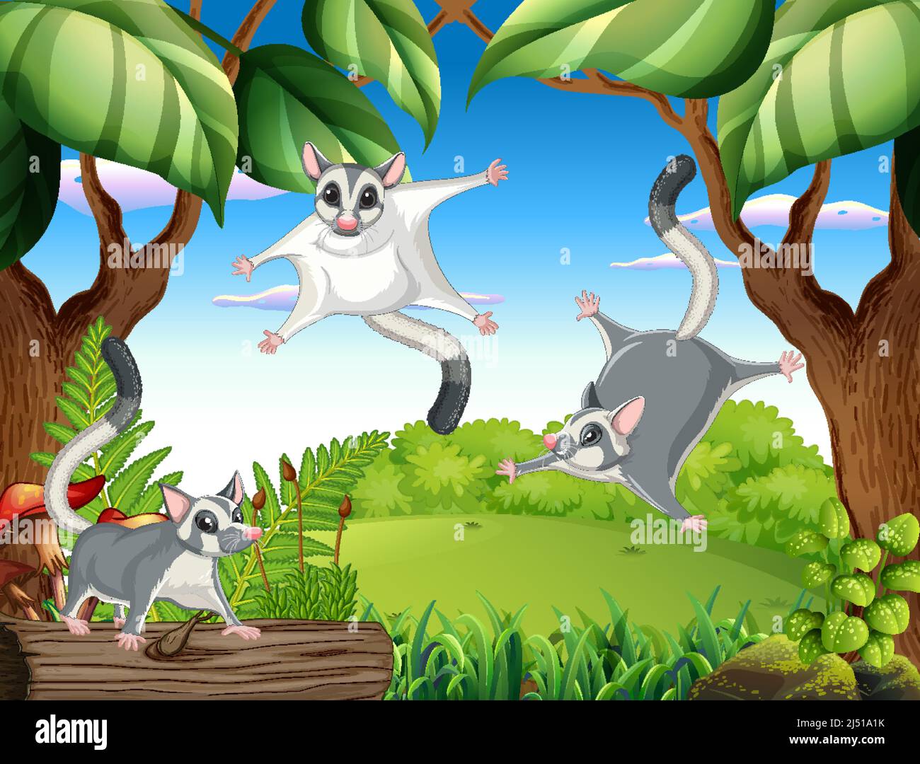 Sugar glider clipart hi-res stock photography and images - Alamy