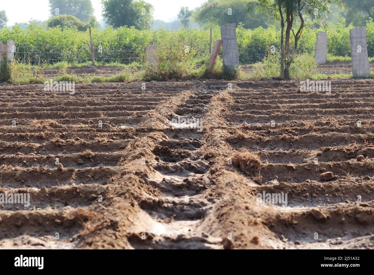 Close-up Photo of a drain made of clay to water the seeds sown in the ...