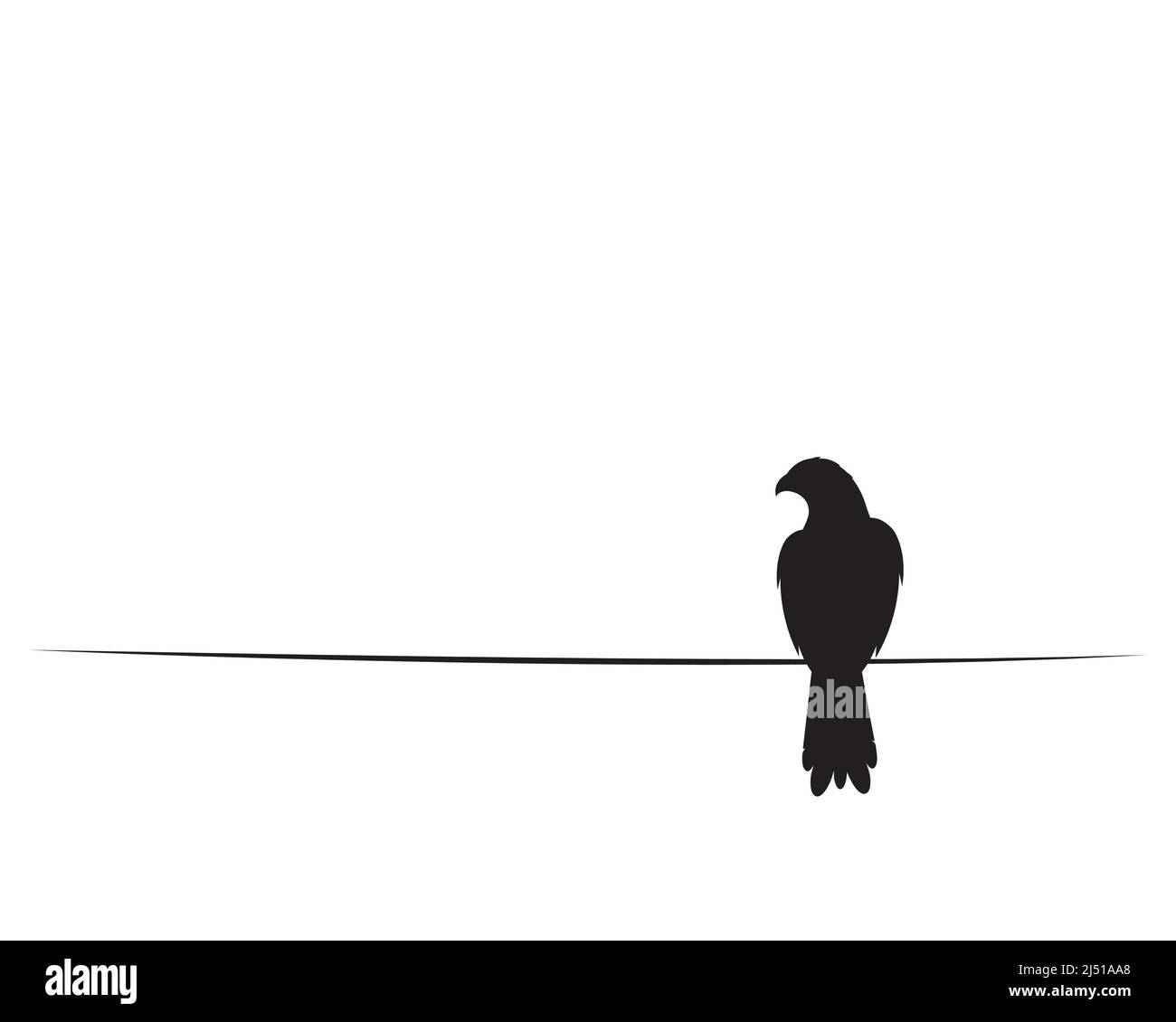 Hawk bird on wire, vector. Hawk bird illustration isolated on white ...