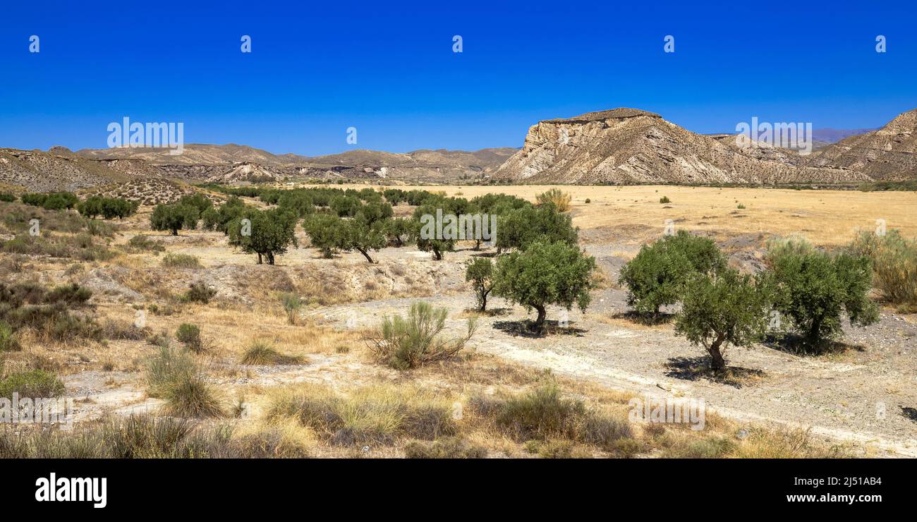 Tabernas Desert Nature Reserve, Special Protection Area, Hot Desert ...