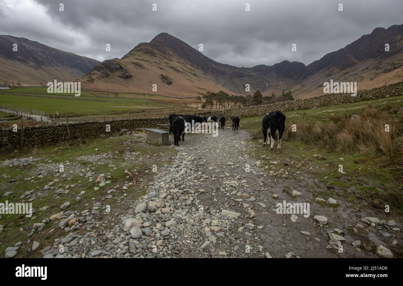 Landscape Images at the Lake District National Park in Cumbria - United ...