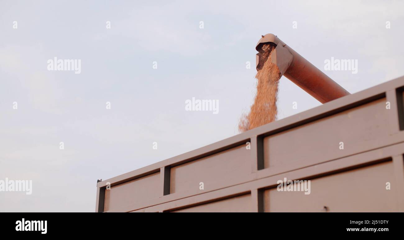 Grain unloading tube hi-res stock photography and images - Alamy